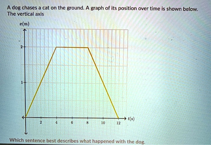 SOLVED: A dog chases a cat on the ground. A graph of its position over ...