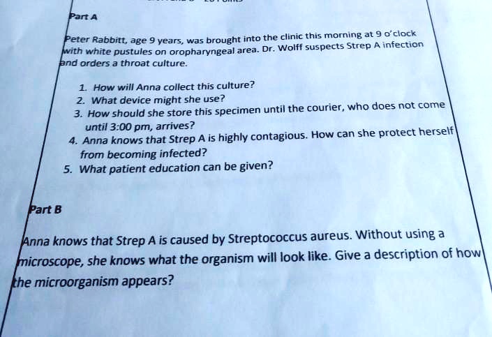 par a at 9 0 clock peter rabbitt age years was brought into the clinic ...