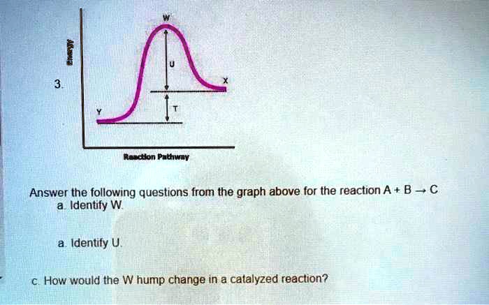 Answer the following questions from the graph above for the...