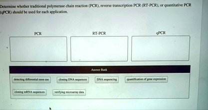 determine whether traditional polymerase chain reaction pcr reverse transcription pcr rt pcr or ...
