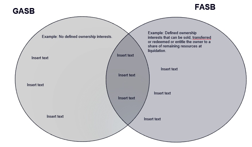 GASB Example: No defined ownership interests. Insert text Insert text ...