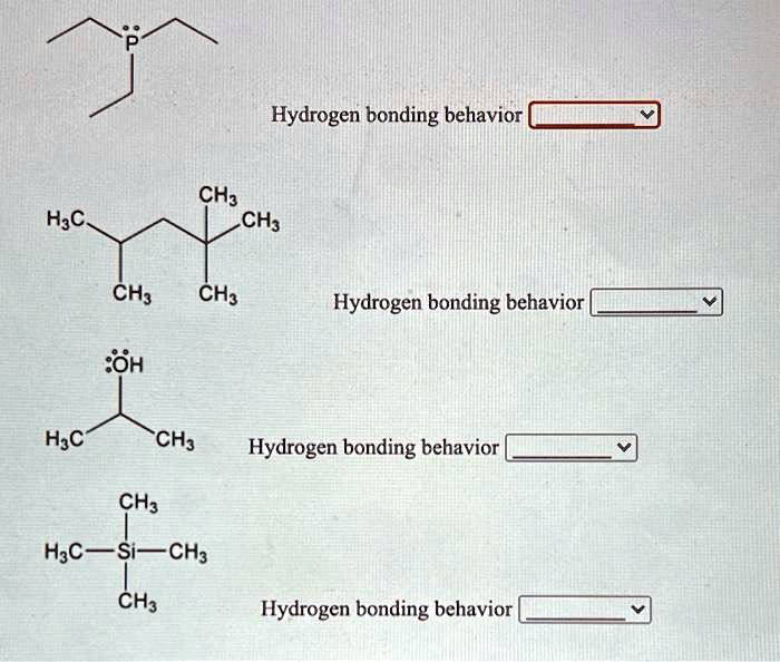 SOLVED: Hydrogen bonding behavior CH3 CH3 H2C=CH2 CH3 Hydrogen bonding ...