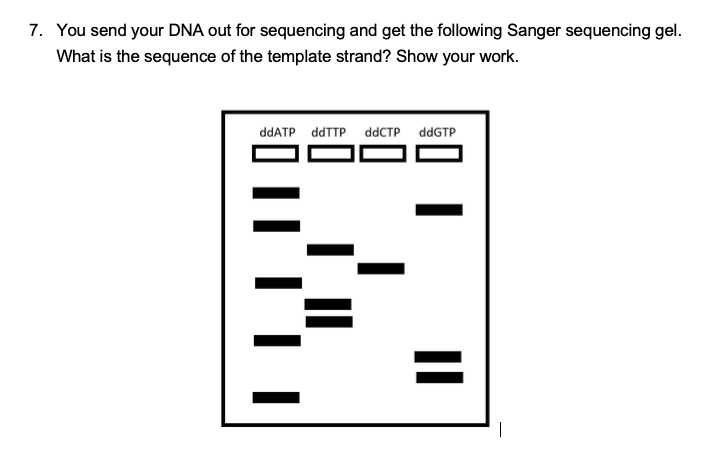you send your dna out for sequencing and get the following sanger ...