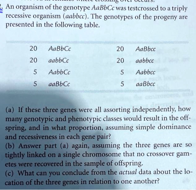 SOLVED: Please explain the steps! An organism of the genotype AaBbCc ...