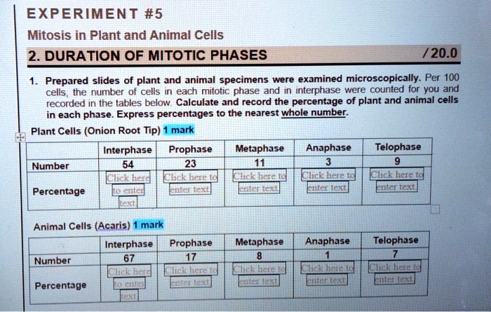 Experiment 5 mitosis in plant and animal cells 2 duration of...