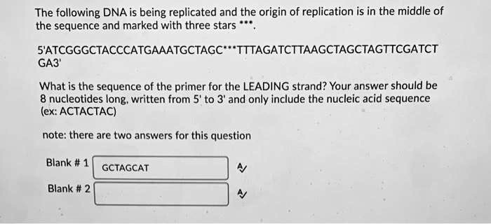 Origin Of Replication Sequence