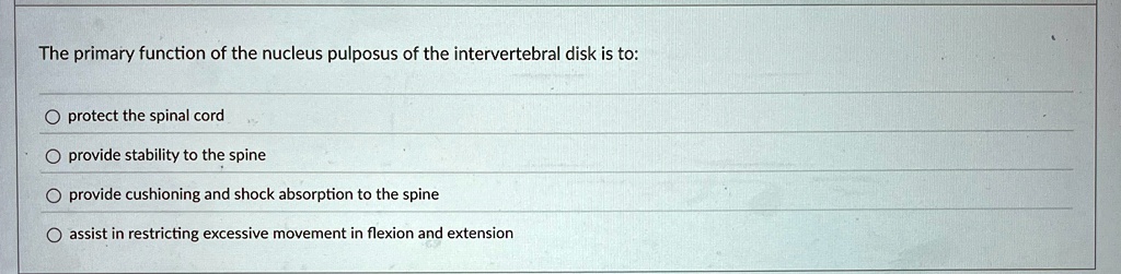 the primary function of the nucleus pulposus of the intervertebral disk ...