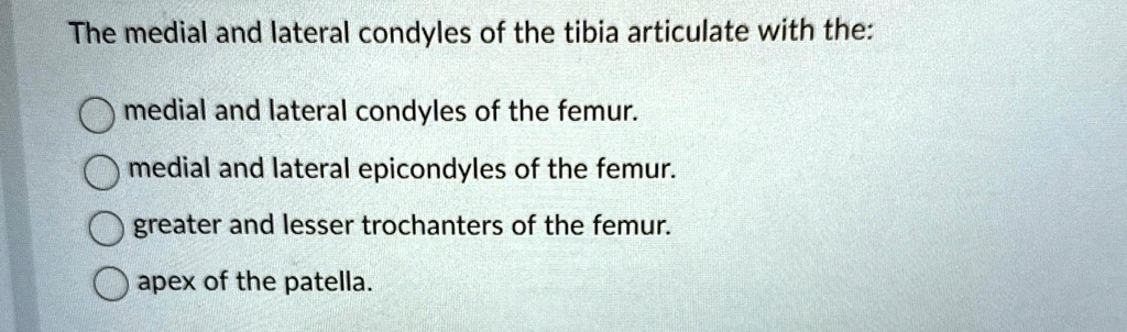 the medial and lateral condyles of the tibia articulate with the medial ...
