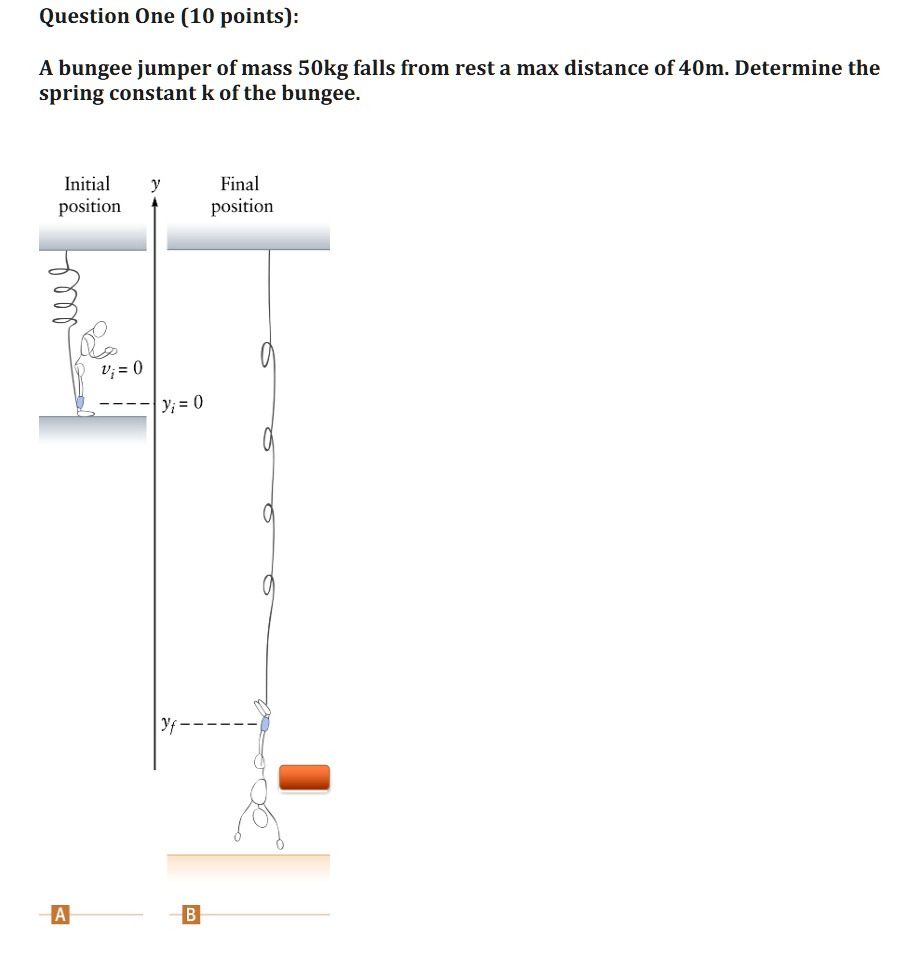 question one 10 points a bungee jumper of mass 50kg falls from rest a ...