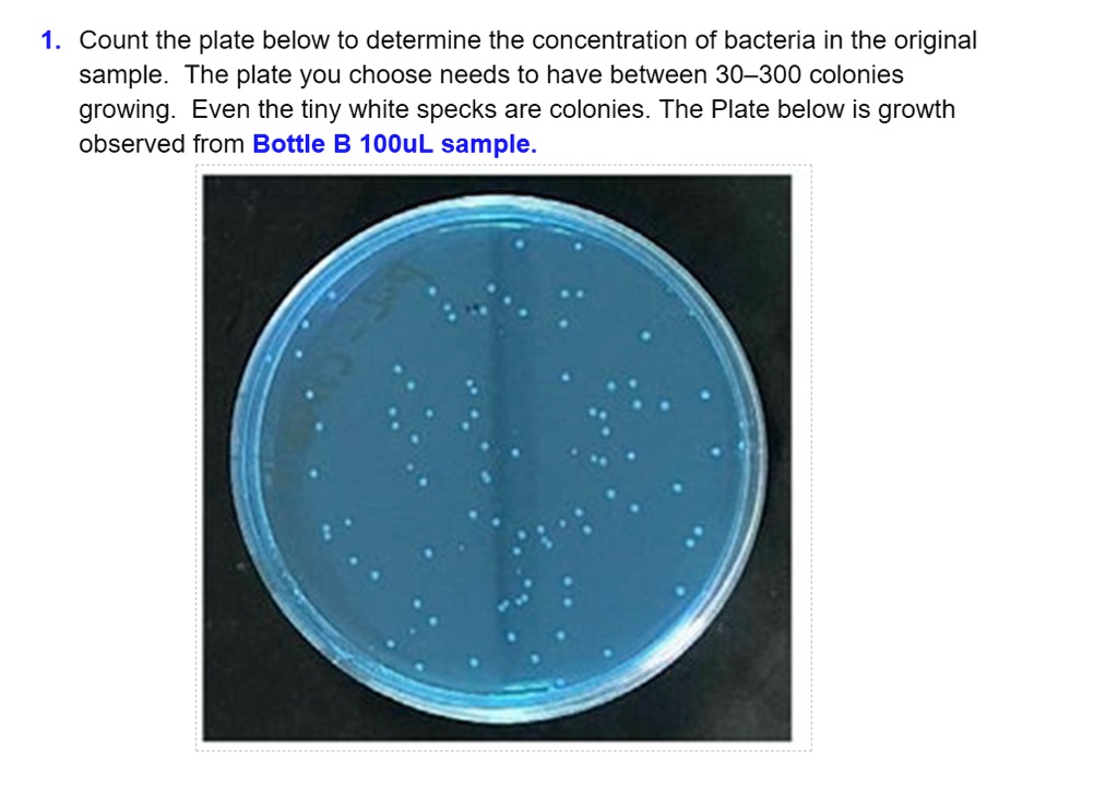 1. Count the plate below to determine the concentration of bacteria in ...