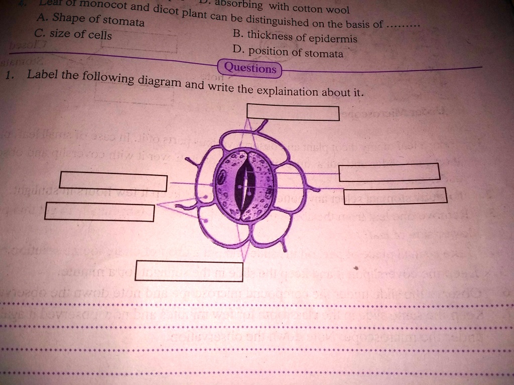 SOLVED: 'label the diagram given' SOLVED: 'label the diagram given'
