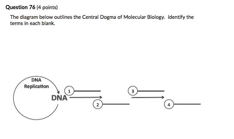 SOLVED: Question 76 (4 points) The diagram below outlines the Central ...