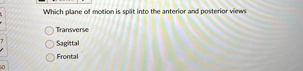 which plane of motion is split into the anterior and posterior views ...