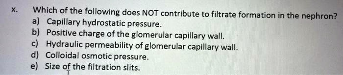 SOLVED: Which of the following does NOT contribute to filtrate ...