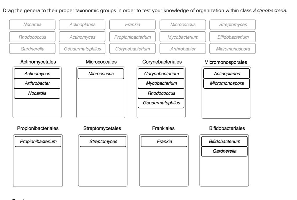 drag the genera to their proper taxonomic groups in order to test your ...