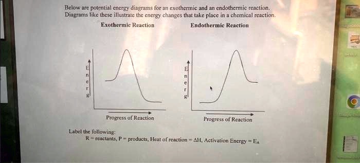 Texts below are potential energy diagrams for an exothermic...