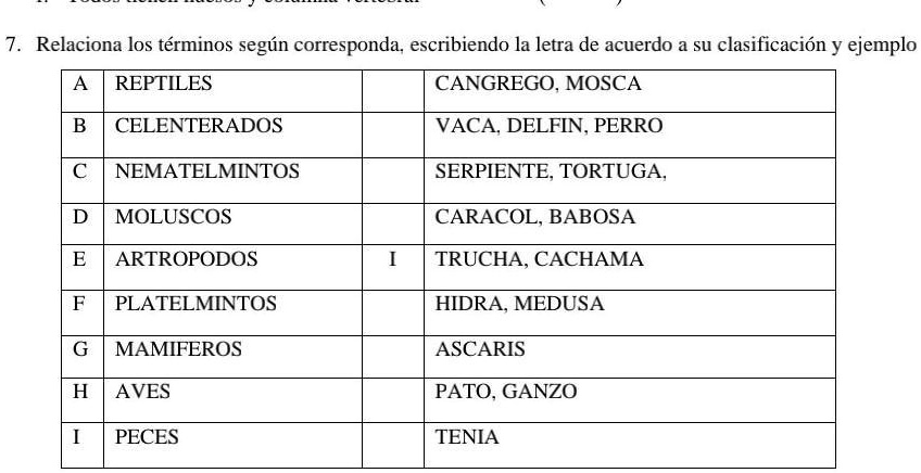 SOLVED: porfa ayudame es para mañana las 6 de la mañana Relaciona los ...
