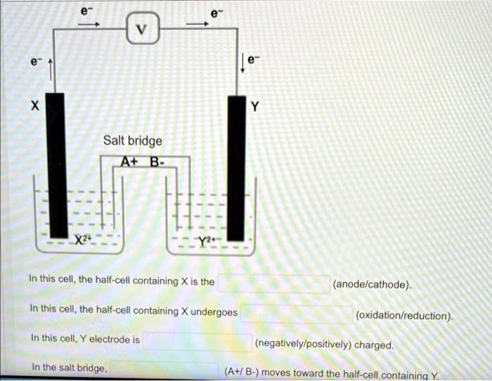 SOLVED: e e- X Salt bridge A+B In this cell, the half-cell containing X ...