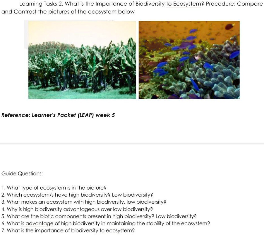 Learning Tasks 2. What is the Importance of Biodiversity to Ecosystem ...