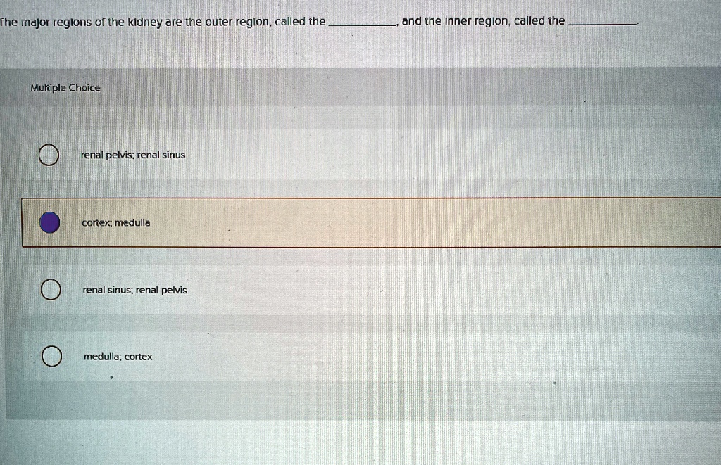 The major regions of the kidney are the outer region, called the , and ...