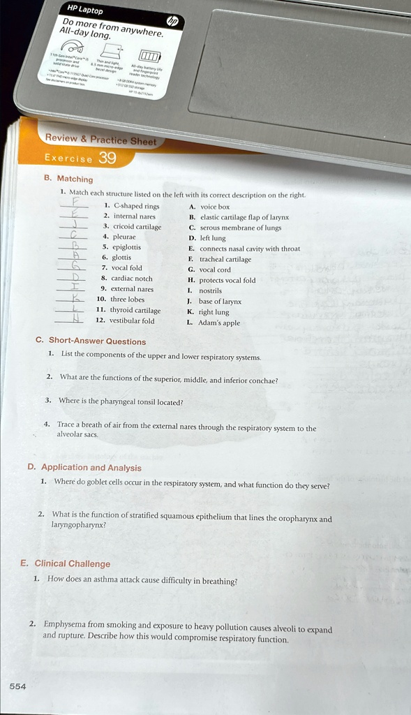 review practice sheet exercise b matching match each structure listed ... review practice sheet exercise b matching match each structure listed ...
