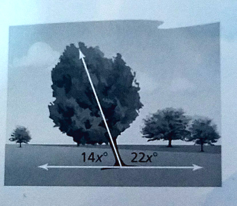 SOLVED: 'A tree is leaning toward the ground. How many degrees does the ...