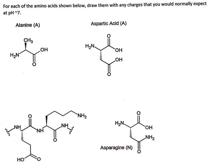 SOLVED:For each of the amino acids shown below; draw them with any ...