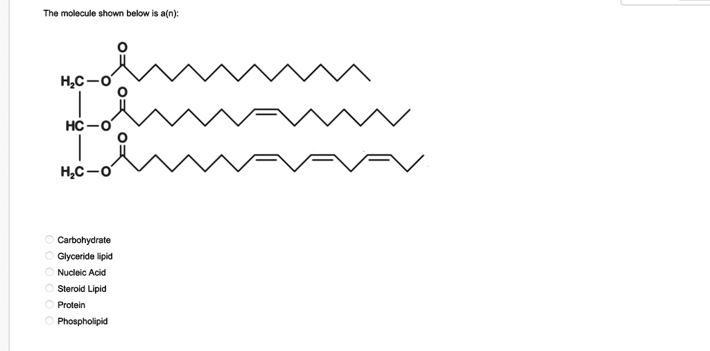 the molecule shown below is an hc o carbohydrate o glyceride lipid o ...