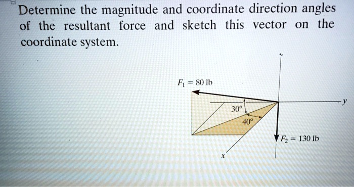 determine the magnitude and coordinate direction angles of the ...