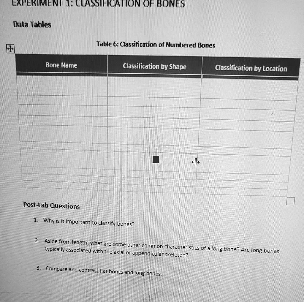 Solved Dsihioaiionoeboned Data Tables Table 6 Classification Of