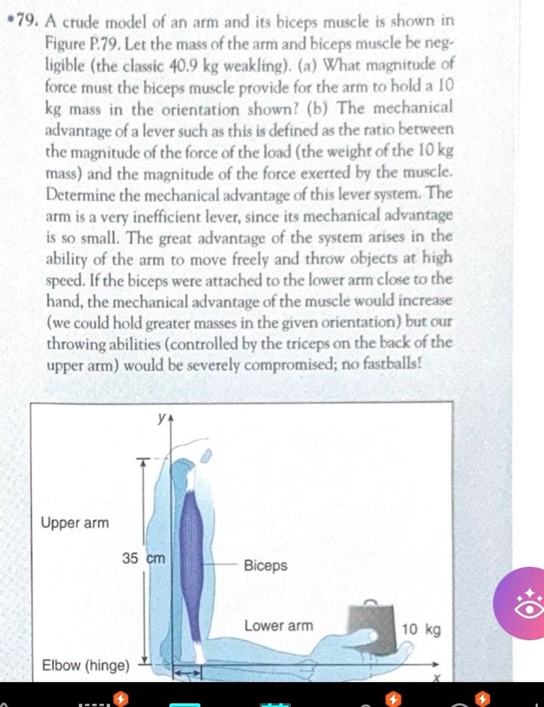 SOLVED: 79.A crude model of an arm and its biceps muscle is shown in ...