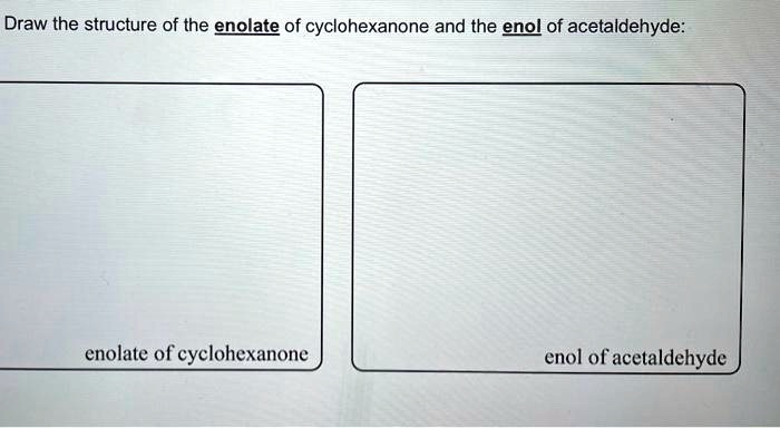 Draw the structure of the enolate of cyclohexanone and the enol of ...