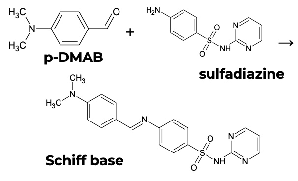 SOLVED: Propose a detailed reaction mechanism for the following ... SOLVED: Propose a detailed reaction mechanism for the following ...