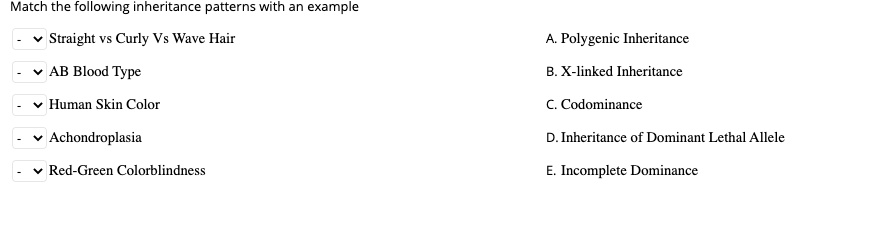 Codominance In Human Hair