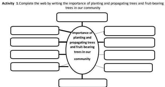Activity 1.Complete the web by writing the importance of planting and ...