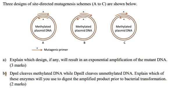 Three designs of site-directed mutagenesis schemes (A to C) are shown ...