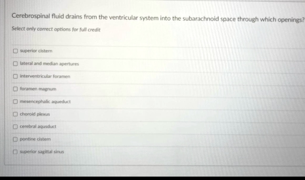 Cerebrospinal fluid drains from the ventricular system into the ...