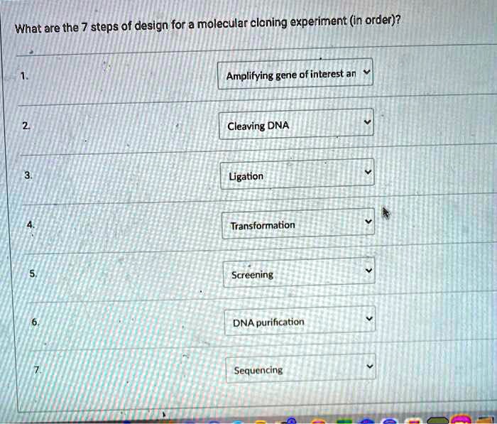 what are the 7 steps of design for a molecular cloning experiment in ...