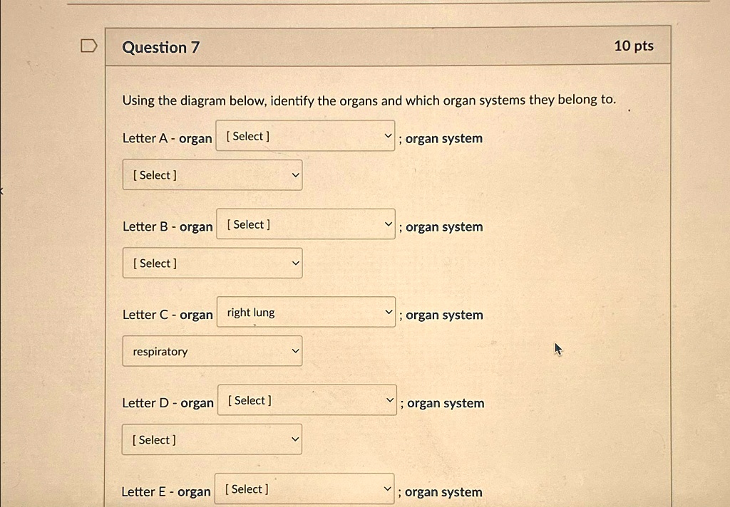 Question 7 10 pts Using the diagram below, identify the organs and ... Question 7 10 pts Using the diagram below, identify the organs and ...