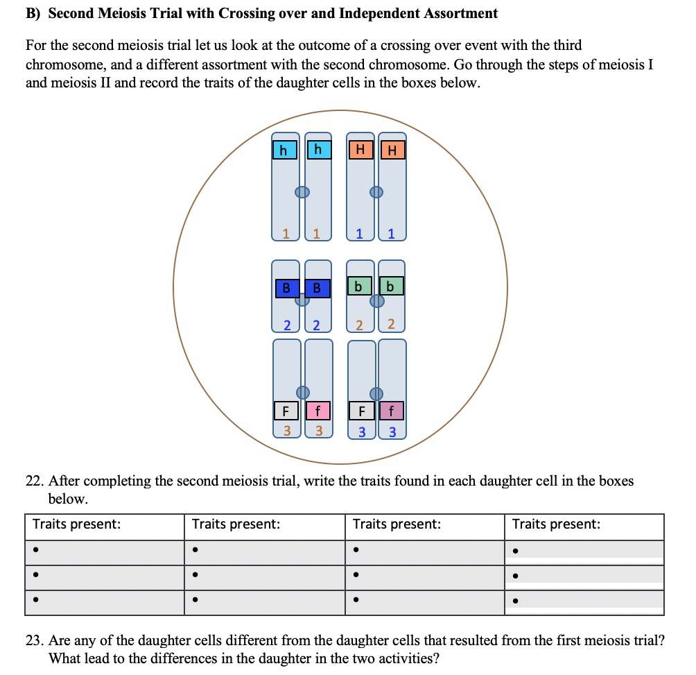 Independent Assortment And Crossing Over