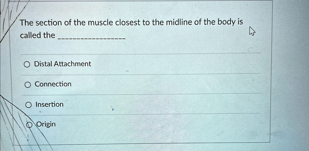 The section of the muscle closest to the midline of the body is called ...