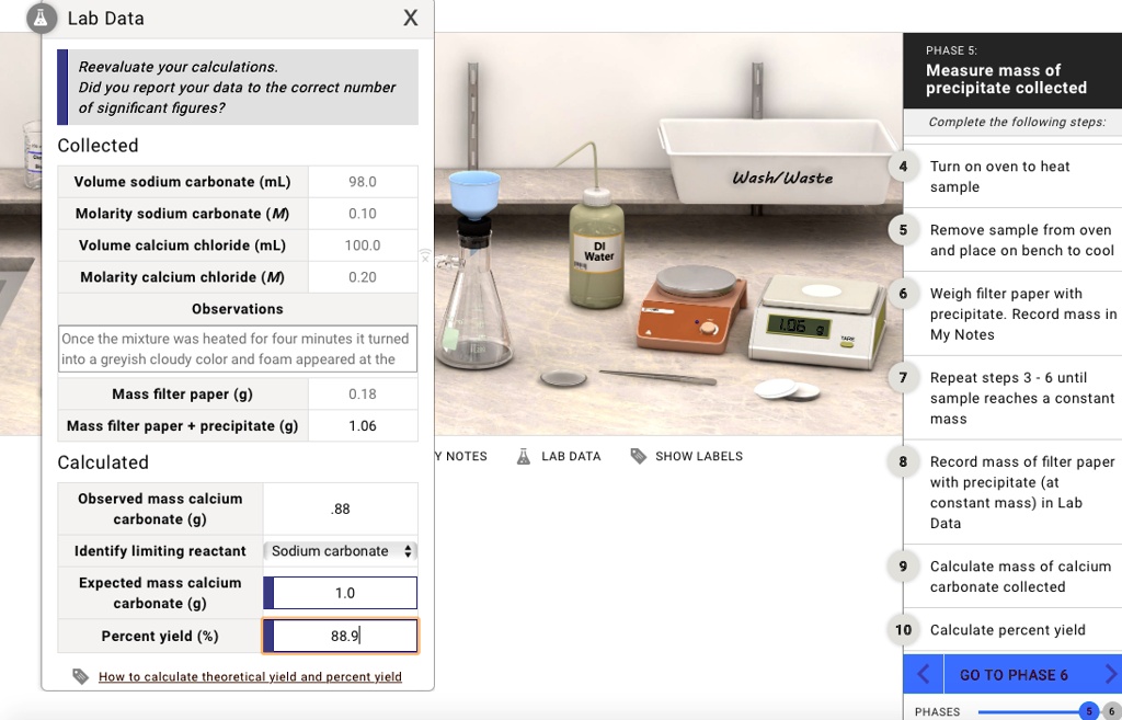 lab data x phase 5 measure mass of precipitate collected reevaluate your calculations did you ...
