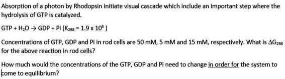 absorption of photon by rhodopsin initiate visual cascade which include ...