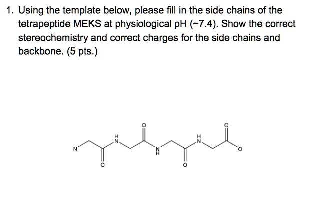 SOLVED:Using the template below, please fill in the side chains of the ...