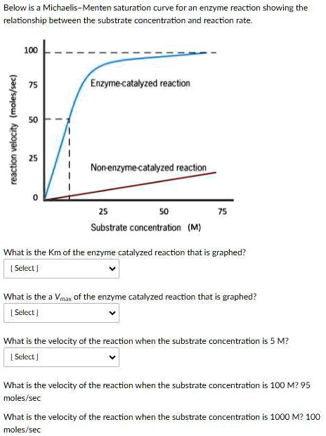 Solved Below Is Michaelis Menten Saturation Curve Foran Enzyme