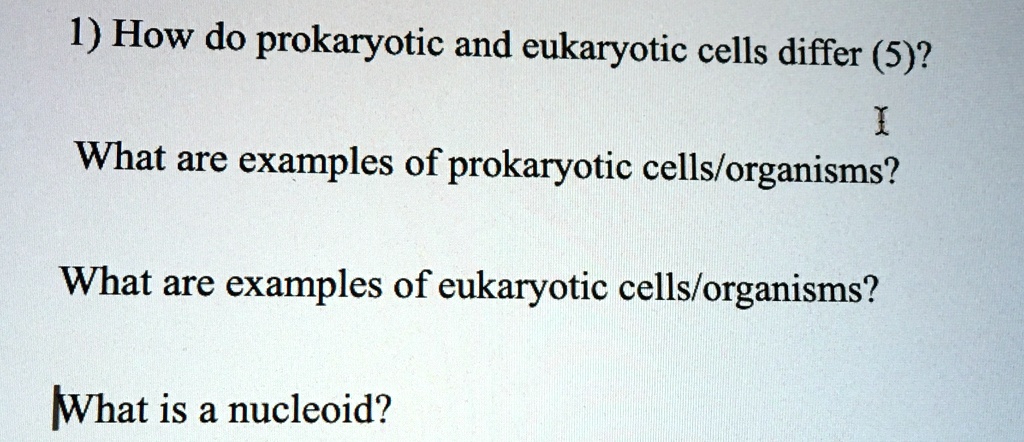 SOLVED: Microbiology 806 1) How do prokaryotic and eukaryotic cells ...
