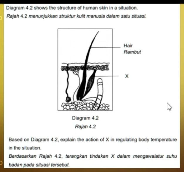 SOLVED: Why do erector muscles contract in regulating body temperature ...