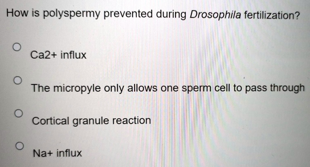 how is polyspermy prevented during drosophila fertilization ca2 influx ...