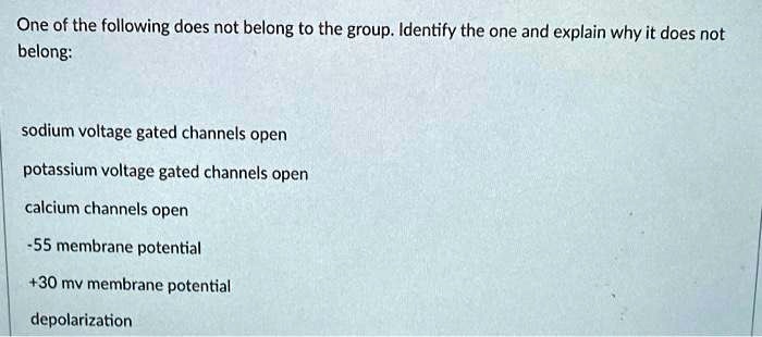 SOLVED: One of the following does not belong to the group.Identify the one and explain why it ...