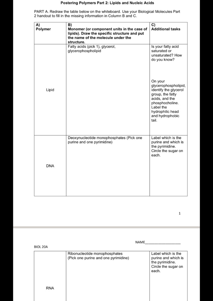 postering polymers part 2 lipids and nucleic acids part a redraw the table below on the ...